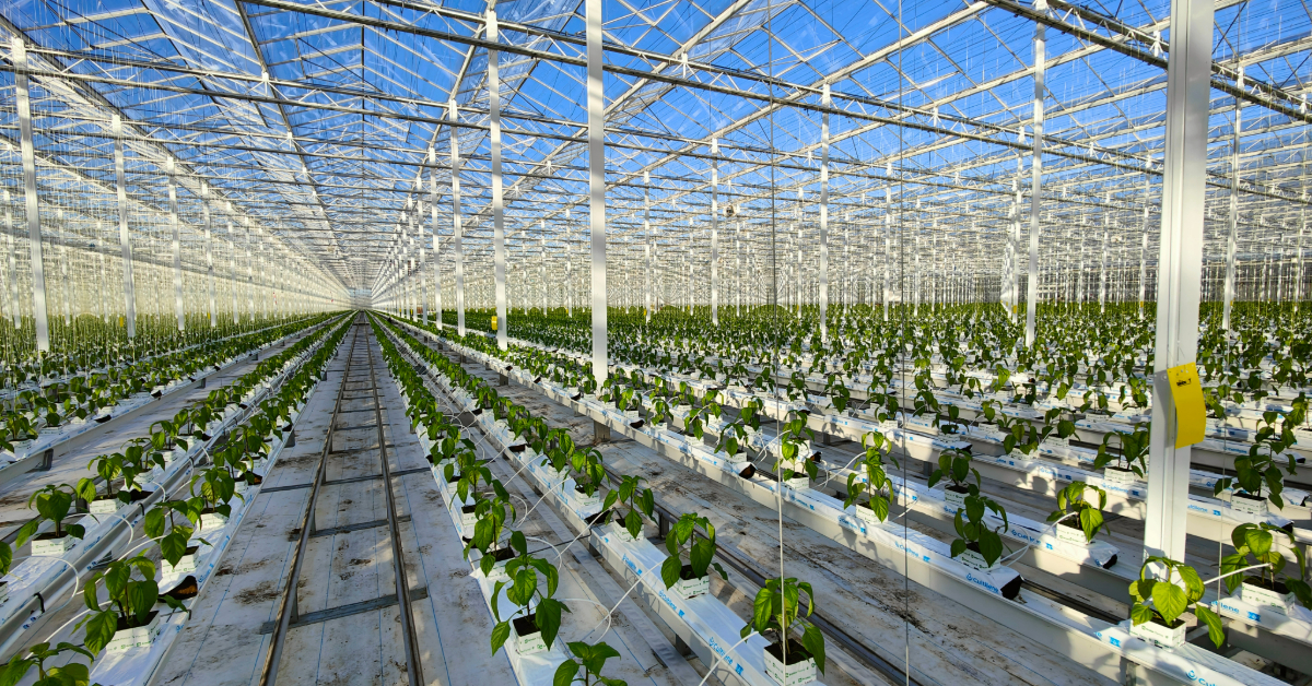 Concert Bio and Harvest House Revolutionize Root Health | StartLife